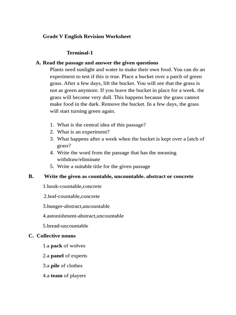 Grade V English Revision Guide | PDF | Adjective | Pronoun
