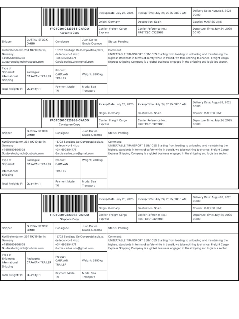 Freight Cargo Express Waybill | PDF | Cargo | Freight Transport