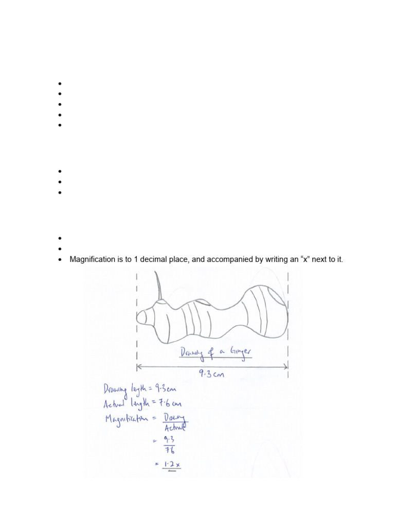 Drawing Labelling Magnification | PDF