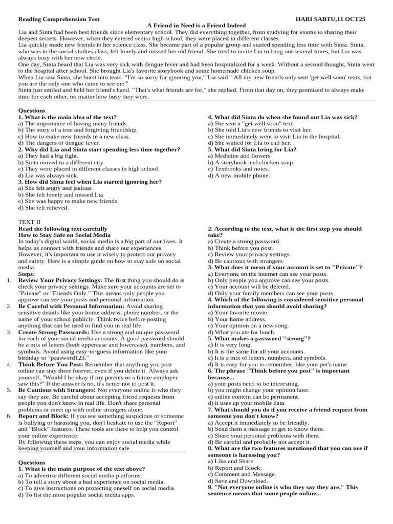 Reading Comprehension | PDF | Password