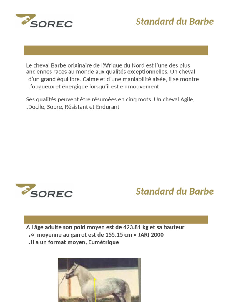 Caractéristiques de la race de cheval Barbe | PDF | Races de mammifères ...