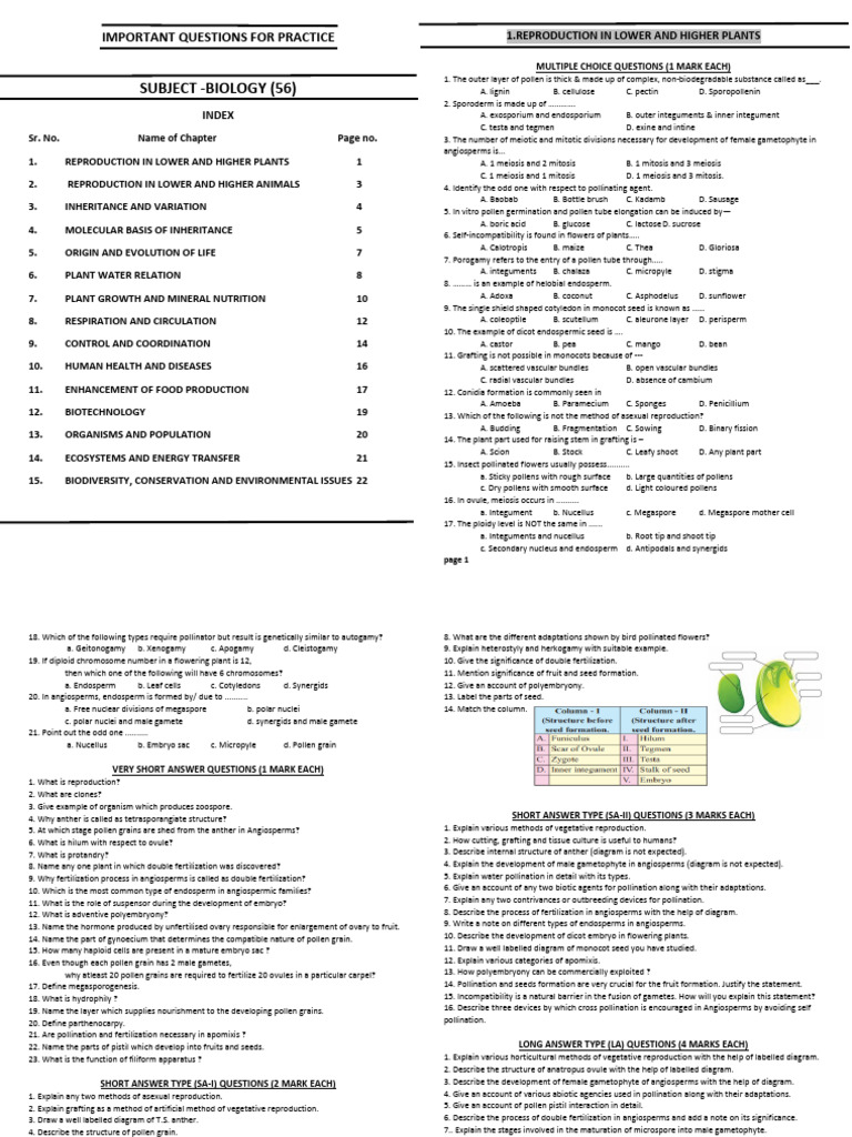 Essential Biology Practice Questions | PDF | Dna | Rna