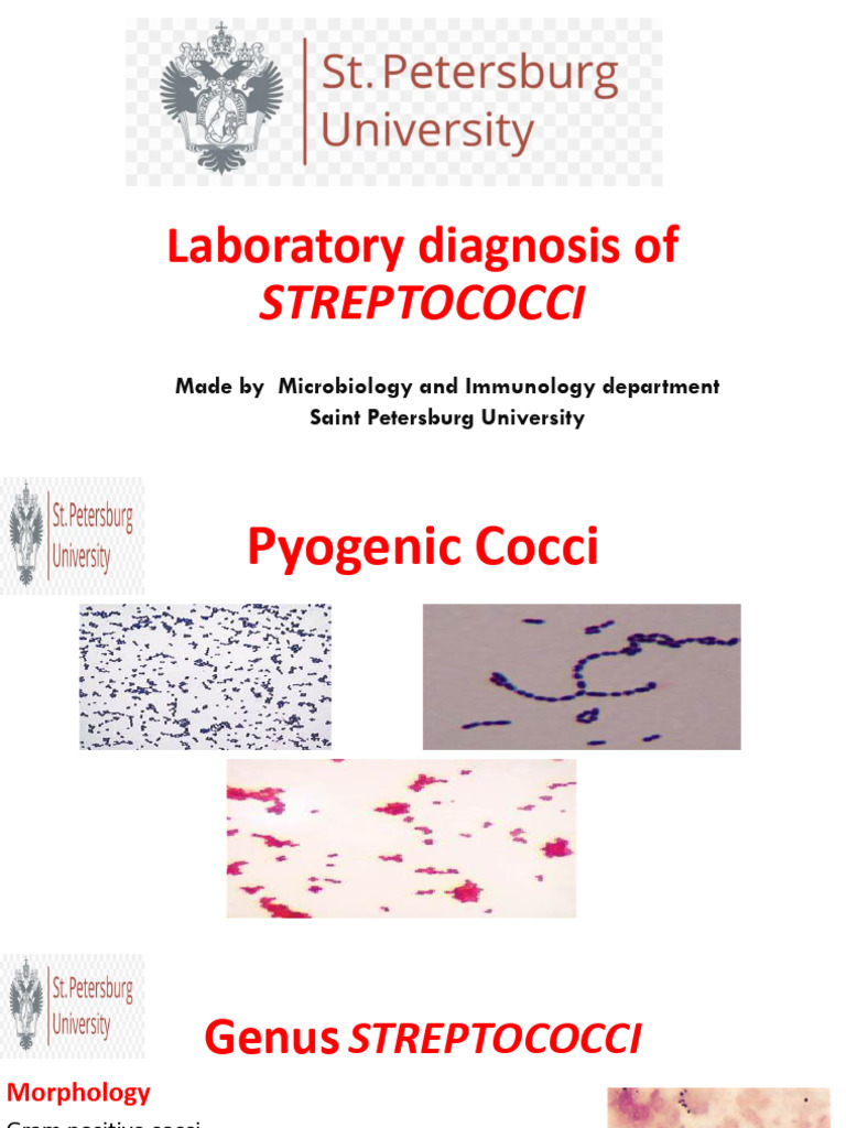 12-Year 2 - SBPU - GM - Microbiology - Streptococcus | PDF ...