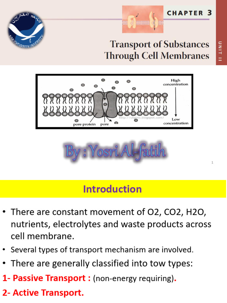 L3 - Transport A Cross-Cell Membrane | PDF | Cell Membrane | Diffusion