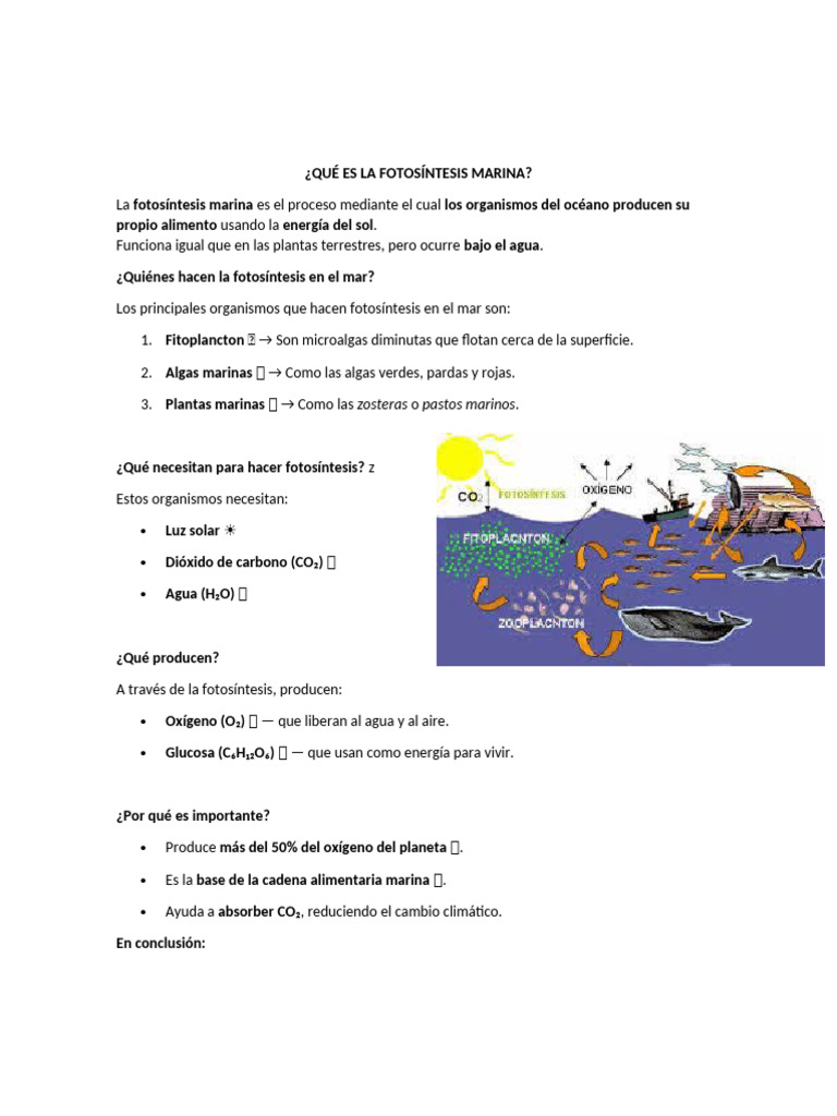 Qué Es La Fotosíntesis Marina | PDF | Bitcoin | Fotosíntesis