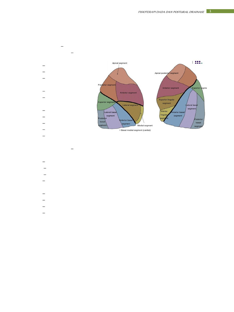 Fisioterapi Dada & Postural Drainase | PDF