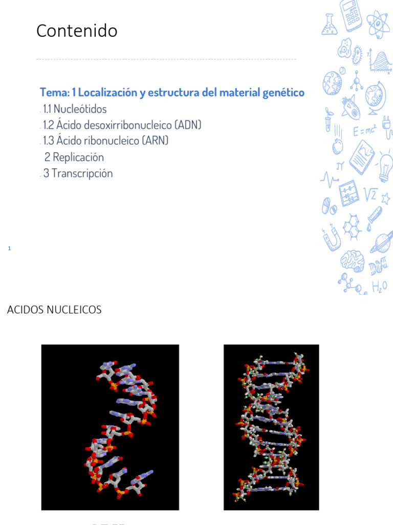 Estructura y Función del Material Genético | PDF | Adn | Genética