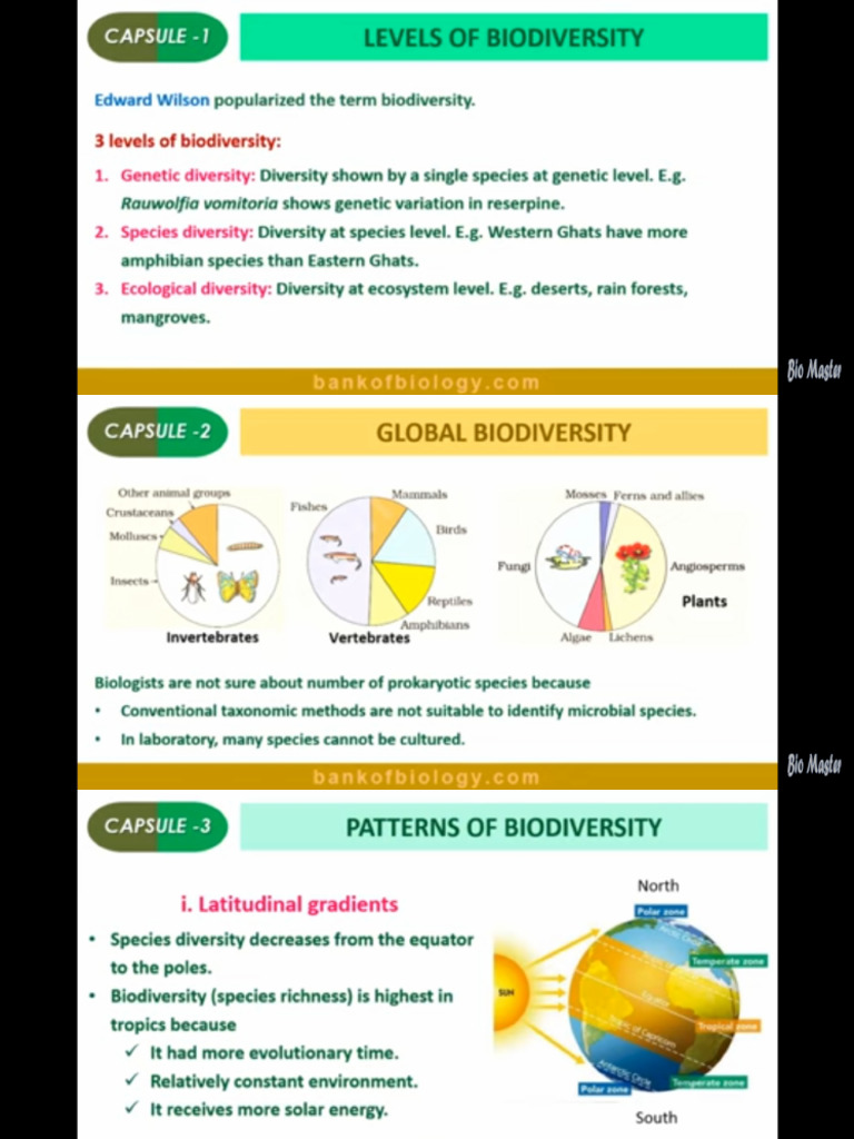 Biodiversity 11th Kerala State Syllabus | PDF