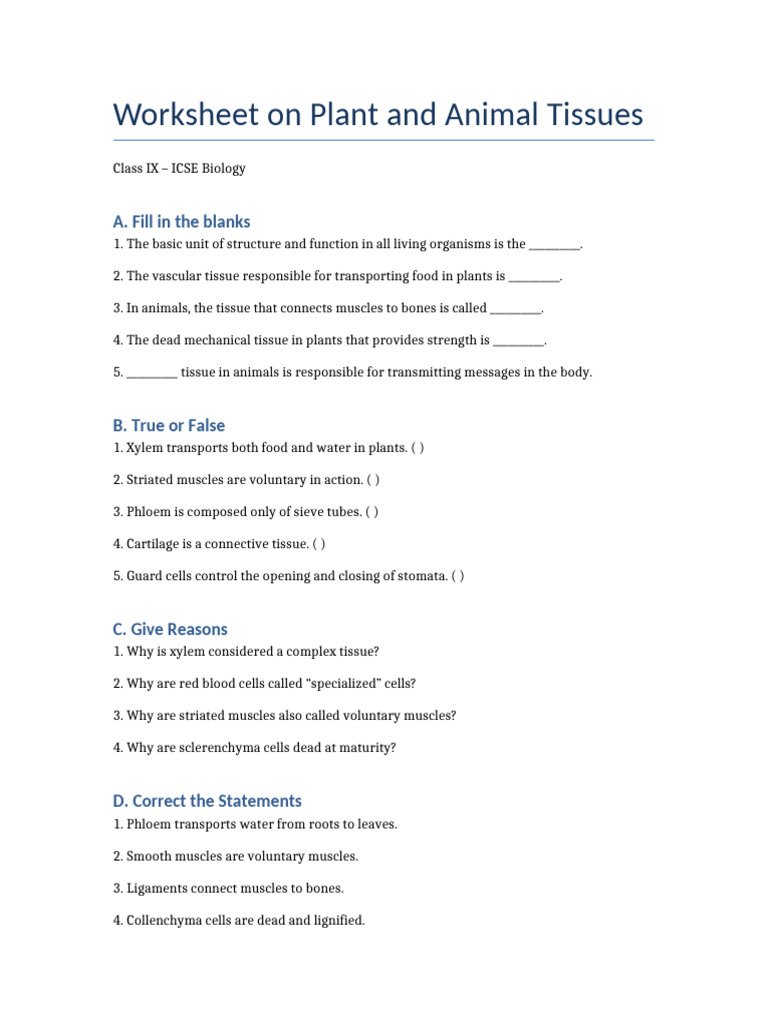 Plant and Animal Tissue Worksheet | PDF | Tissue (Biology) | Muscle