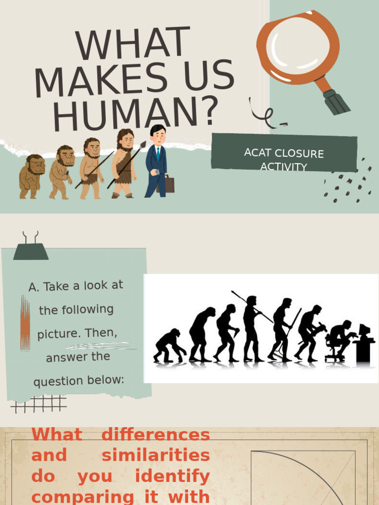 Exploring Human Evolution Through Cooking | PDF