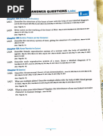 Botany Baby Bullet | PDF