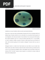 Antibacterial Testing via Disc Diffusion | PDF | Microbiology | Biology