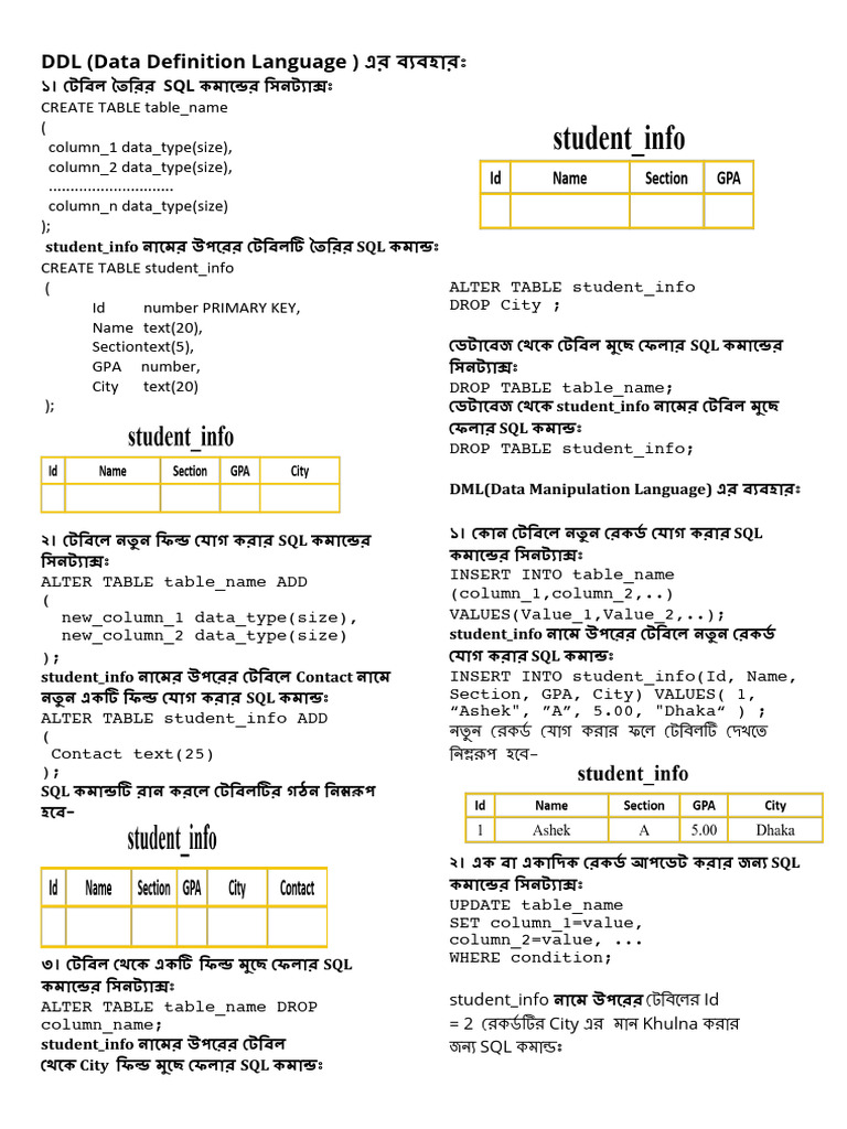 DDL (Data Definition Language) : Student - Info SQL | PDF