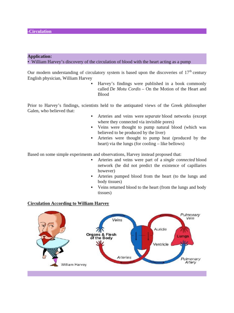 William Harvey's Blood Circulation Insights | PDF | Artery ...