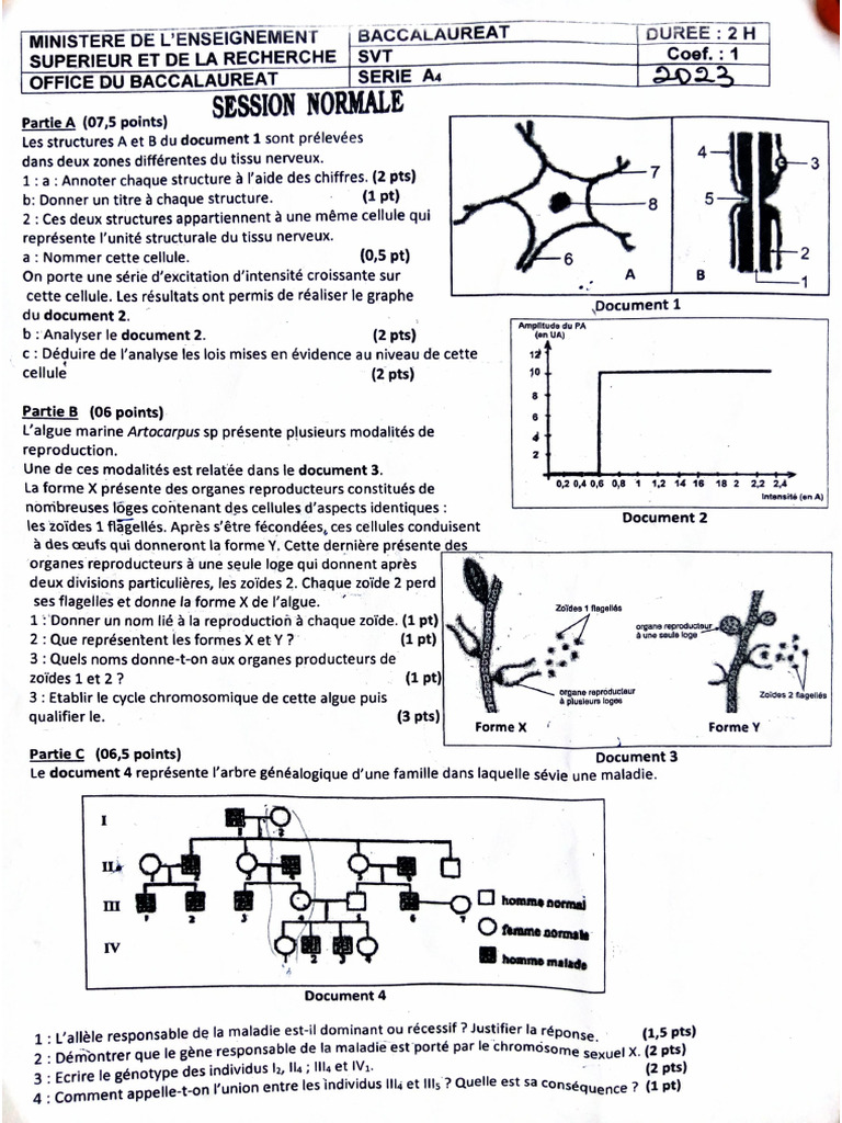 Bac II A4 2023, Épreuve SVT | PDF