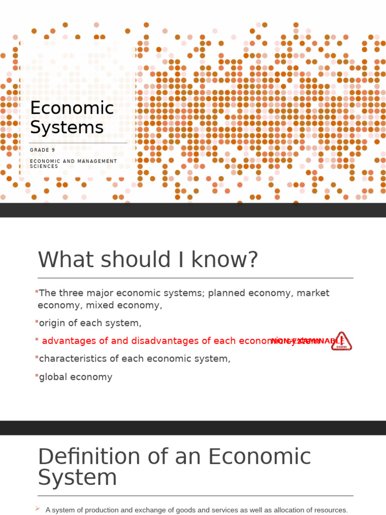 Overview of Economic Systems | PDF | Economic System | Economics