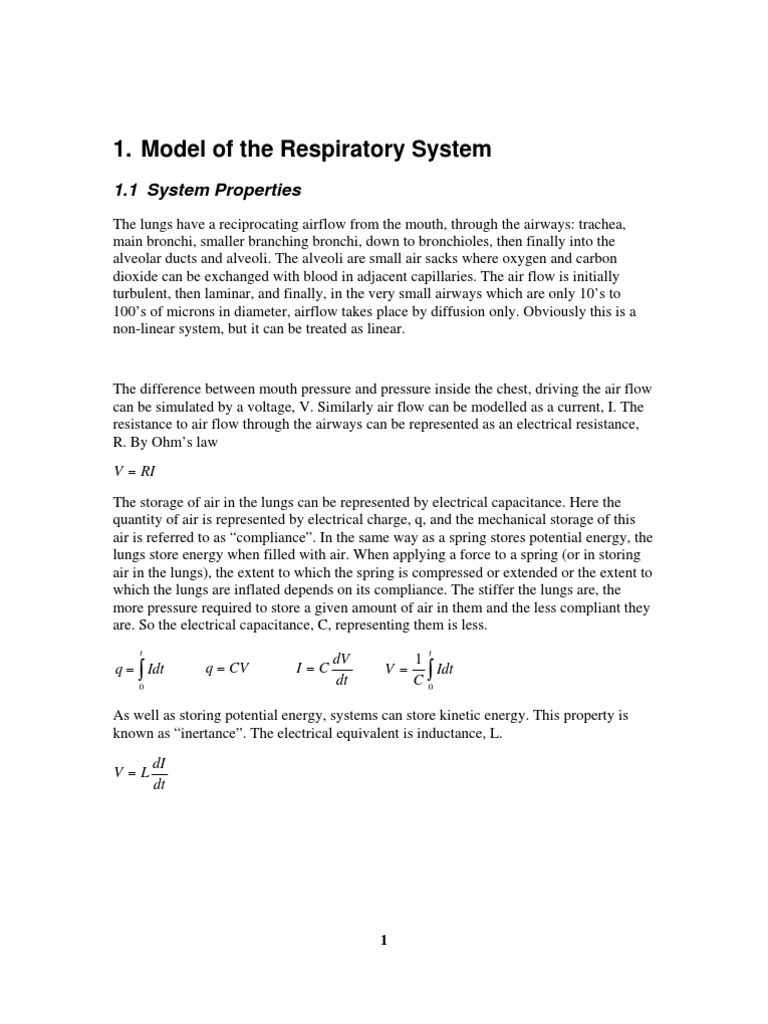 Lung Model | PDF | Respiratory Tract | Lung