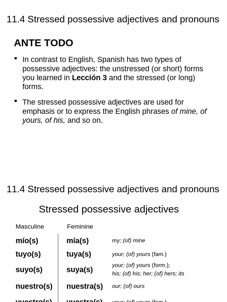 11.4 Stressed Possessive Adjectives and Pronouns | PDF | Grammatical ...