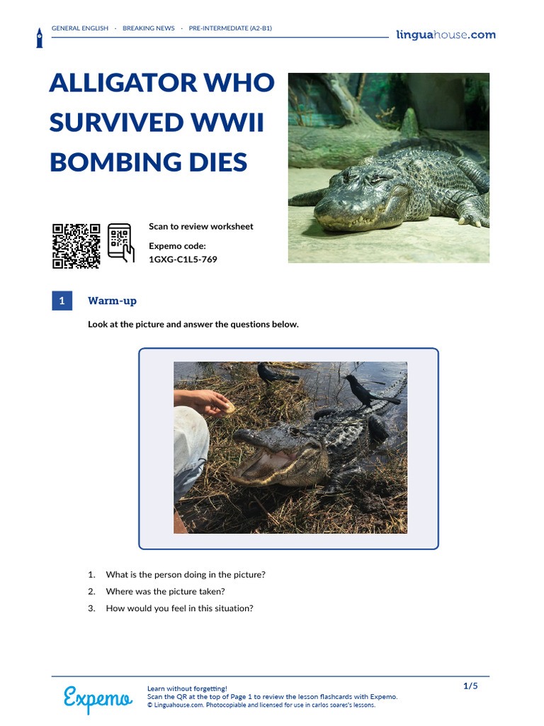 Alligator Who Survived Wwii Bombing Dies British English Student | PDF