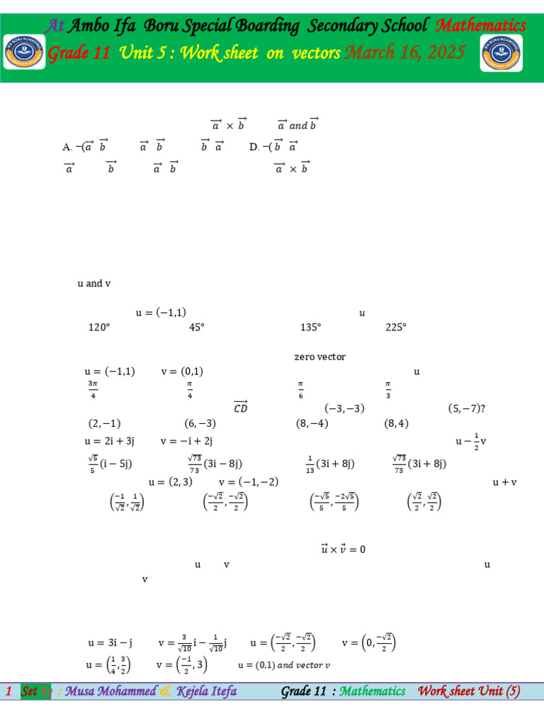 Grade 11 Mathematics Vectors Worksheet | PDF | Euclidean Vector | Angle