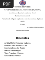 Anatomia das Vísceras Humanas | PDF | Corpo humano | Anatomia