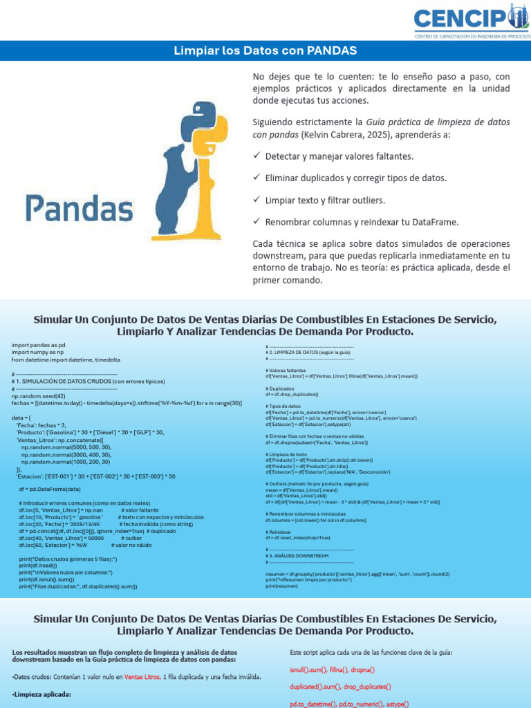 Pandas 1 | PDF | Informática
