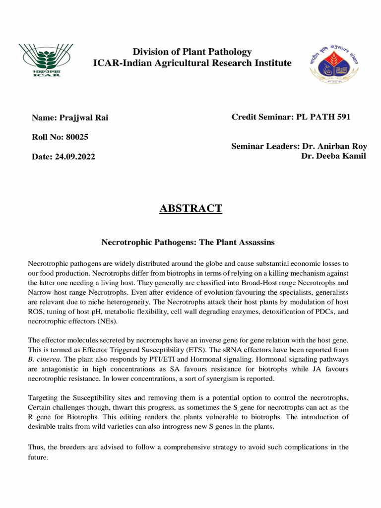 Seminar Write Up | PDF