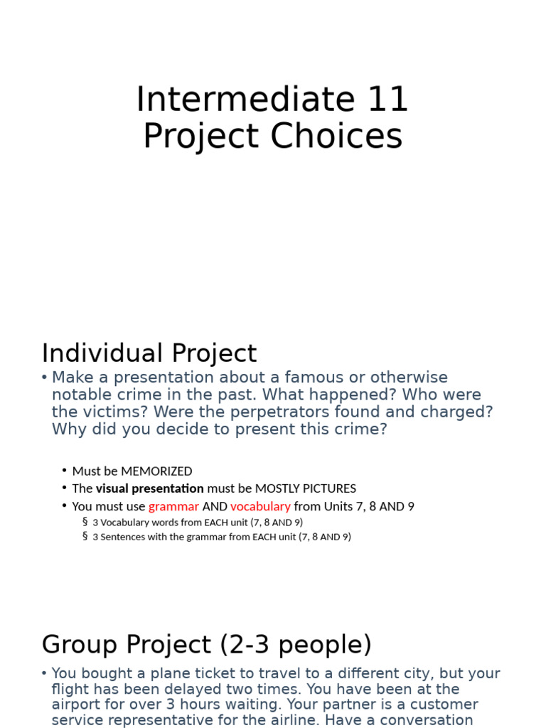 Intermediate 11 Project Options | PDF