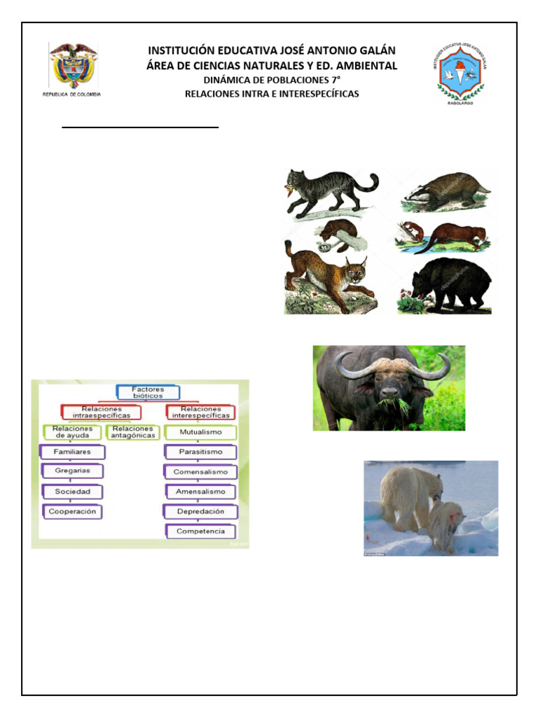 6° Guia 012 Interacciones Biologicas Inter Intraespecificas Poblaciones ...