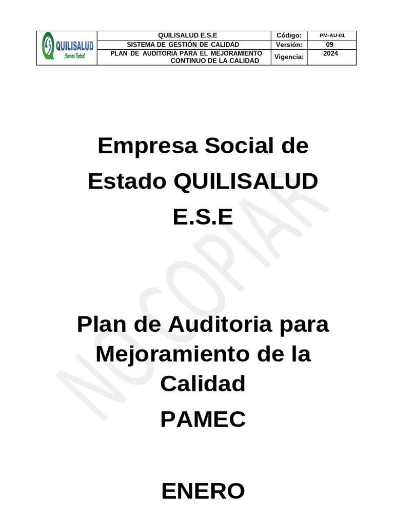 Pamec 2024 Quilisalud | PDF | Sistema de manejo de calidad | Auditoría