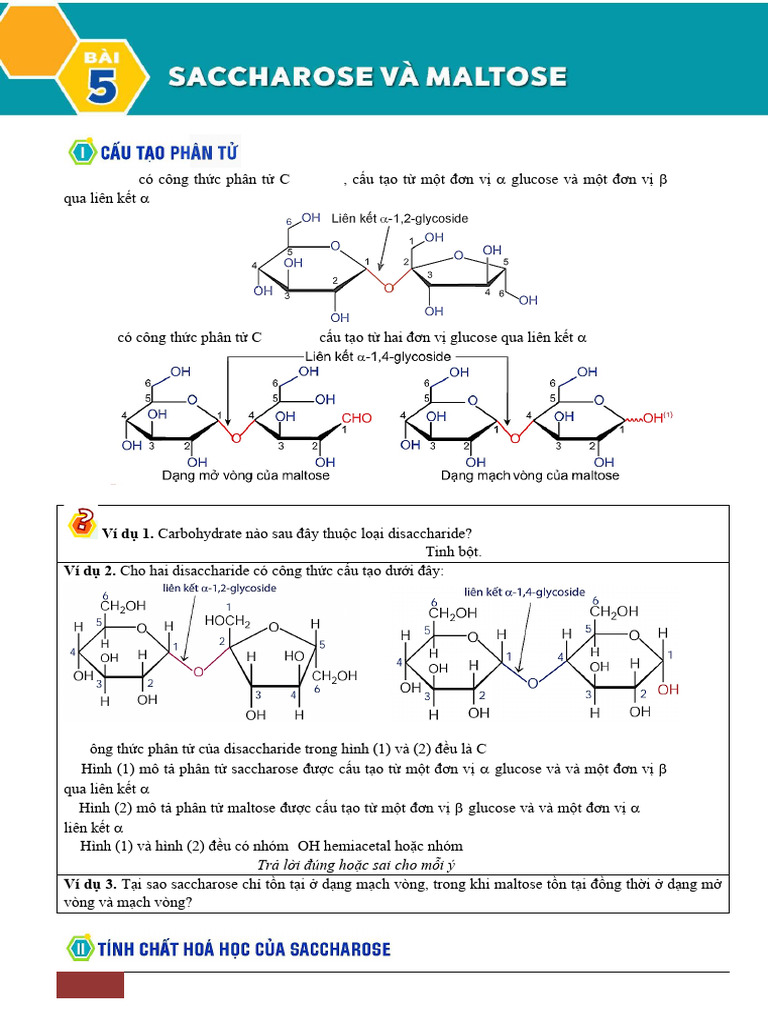 Bài 5. Saccharose Và Maltose - HS | PDF