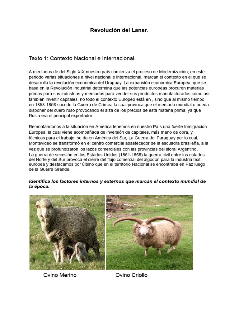 Revolución Lanar en Uruguay: Contexto y Impacto | PDF | Uruguay | Oveja