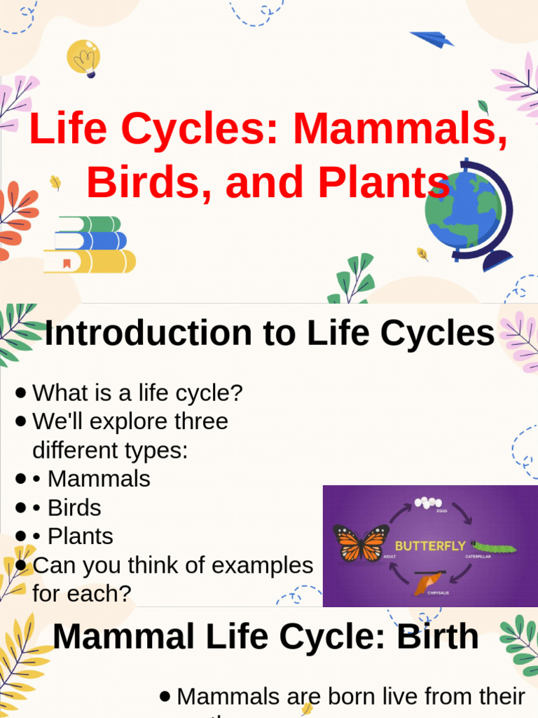 Comparing Life Cycles of Mammals and Birds | PDF | Seed | Birds
