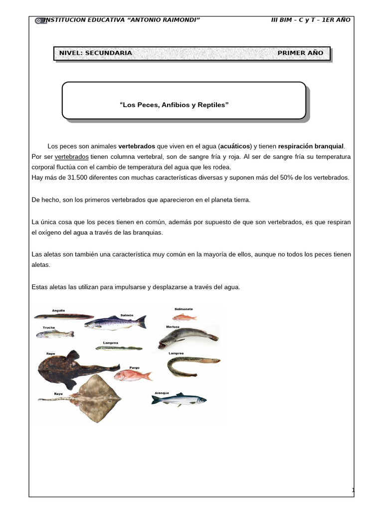 Clase de Primero de Secundaria V Unidad Los Peces Anfibios y Reptiles 1 ...