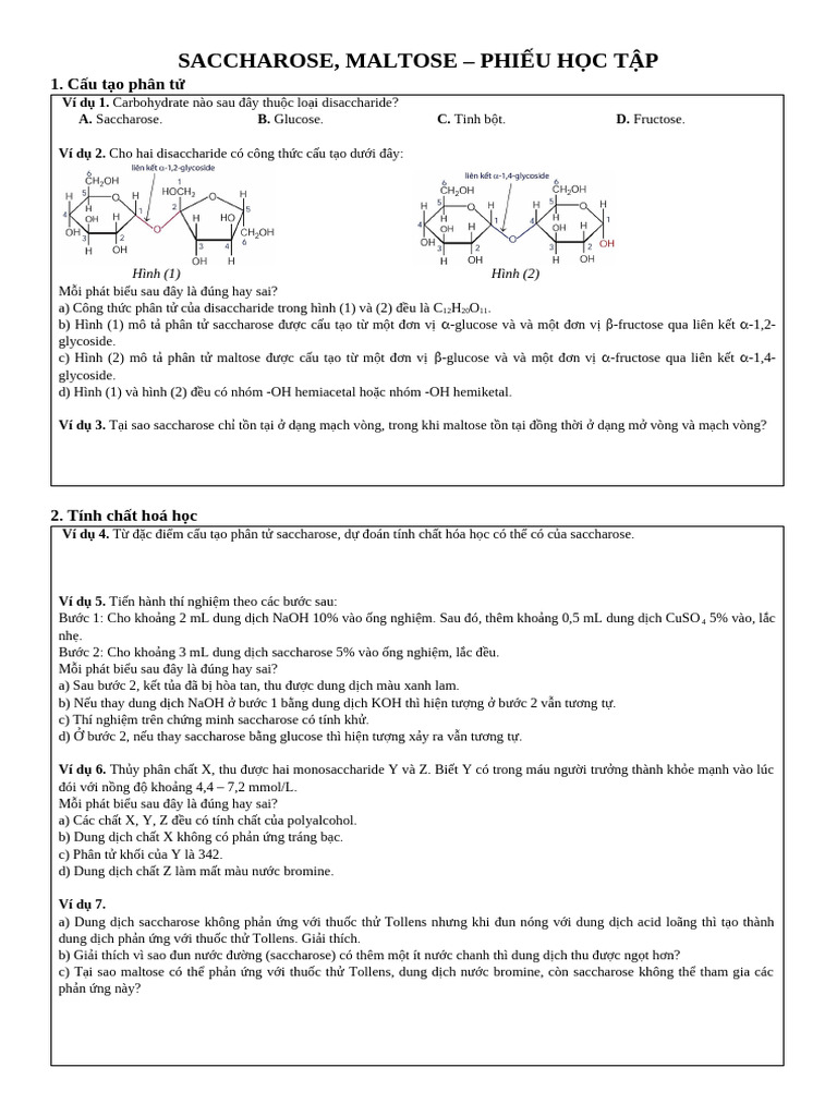 SACCHAROSE, MALTOSE - Phiếu Học Tập | PDF