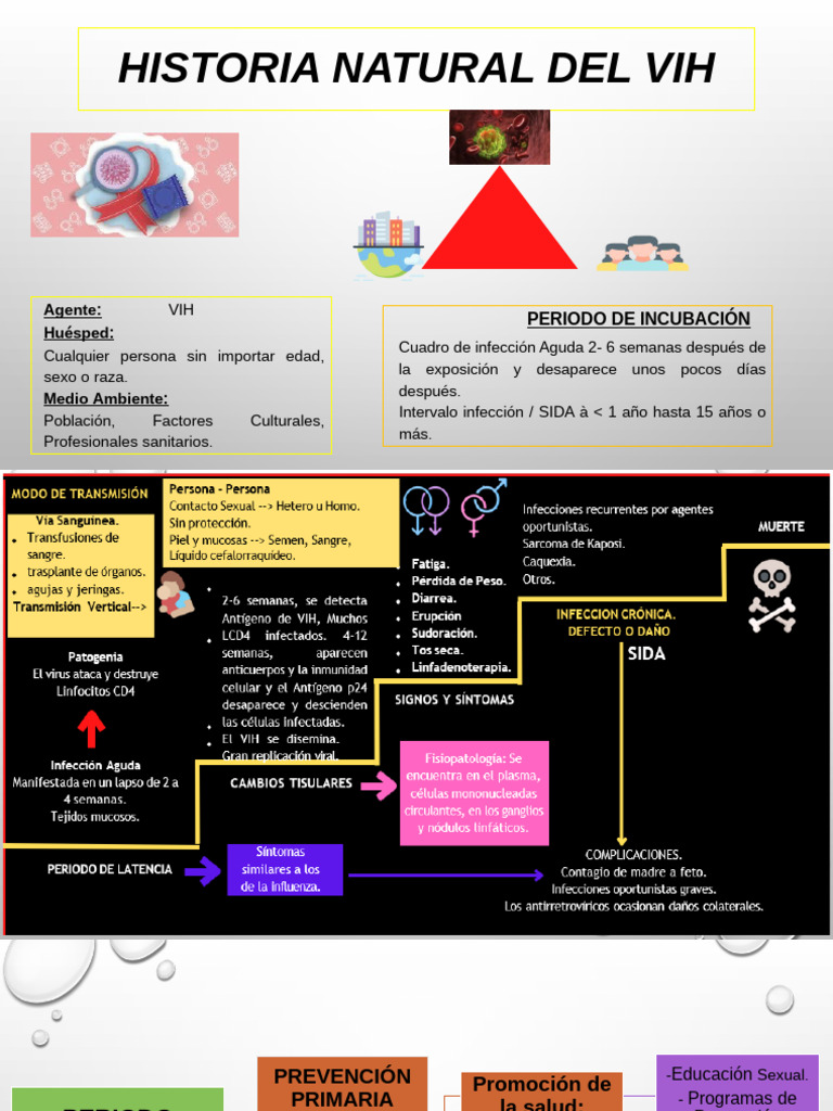 Historia Natural Del Vih | PDF