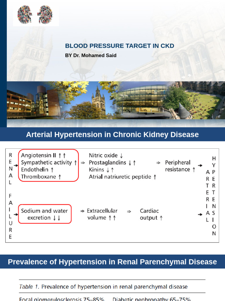 Blood Pressure Target in CKD | PDF | Chronic Kidney Disease | Hypertension