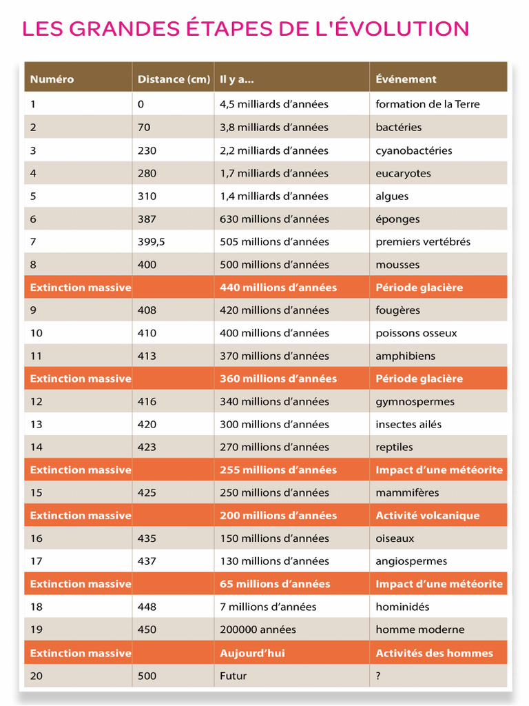 Les Grandes Etapes De L Evolution Pdf