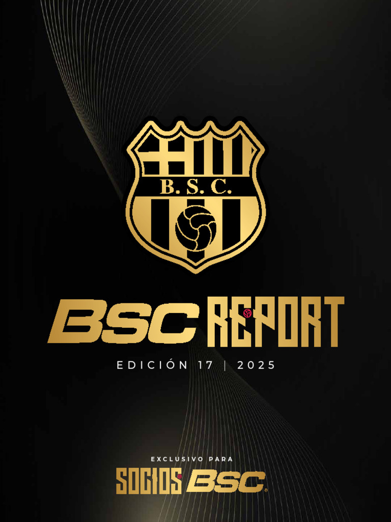 BSC Report 19-09 | PDF