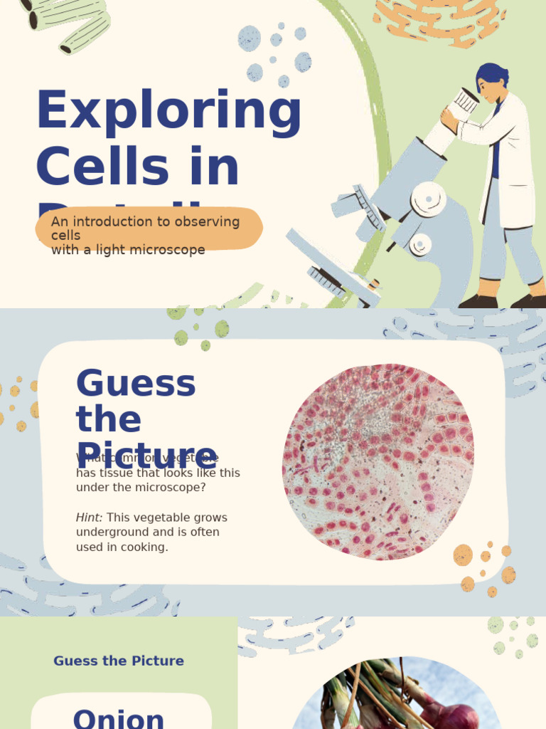 Understanding Light Microscopes and Cells | PDF | Microscope | Optics