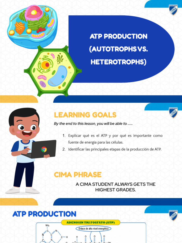 2nd Grade - Topic 02 - Week 08 - Atp Production | PDF