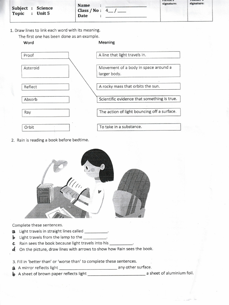Science Lights HW Grade 4 Semester 2 | PDF
