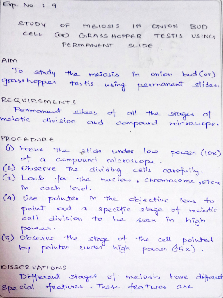 Biology Meiosis Notes | PDF
