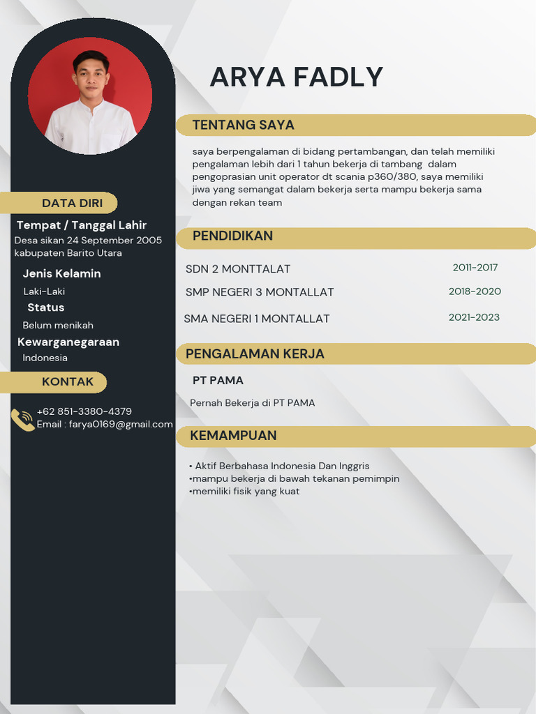Cv Arya_20251019_135152_0000 | PDF