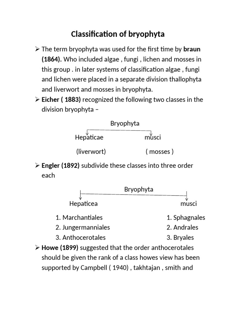Classification of Bryophyta Classes | PDF
