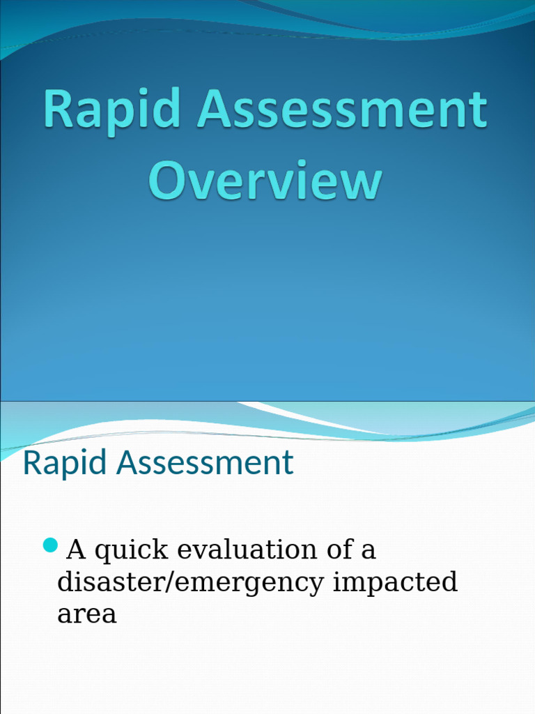 Rapid Disaster Assessment Guide | PDF | Disasters