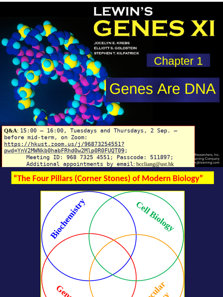 Understanding DNA: Genes and Structure | PDF | Dna | Nucleic Acid Sequence