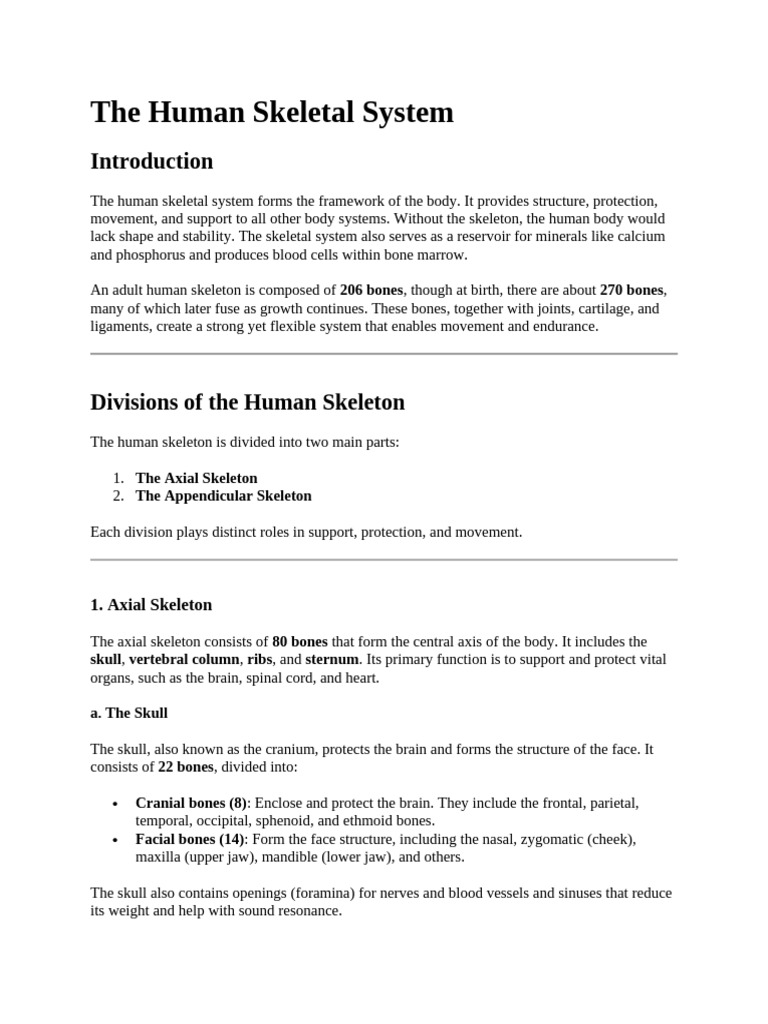 Overview of the Human Skeletal System | PDF | Skull | Bone
