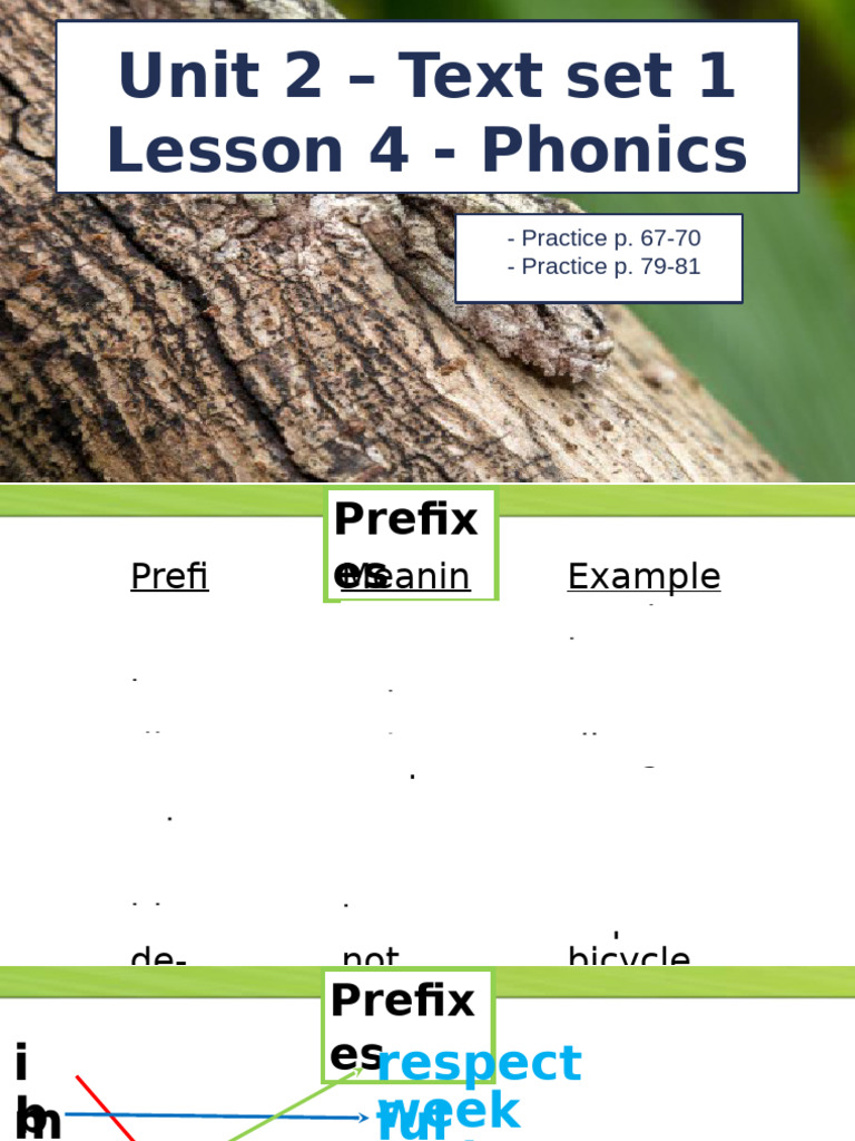 Phonics Lesson: Prefixes and Digraphs | PDF