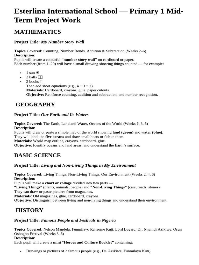 Primary 1 Project Work Overview | PDF | Computer Keyboard | Machines